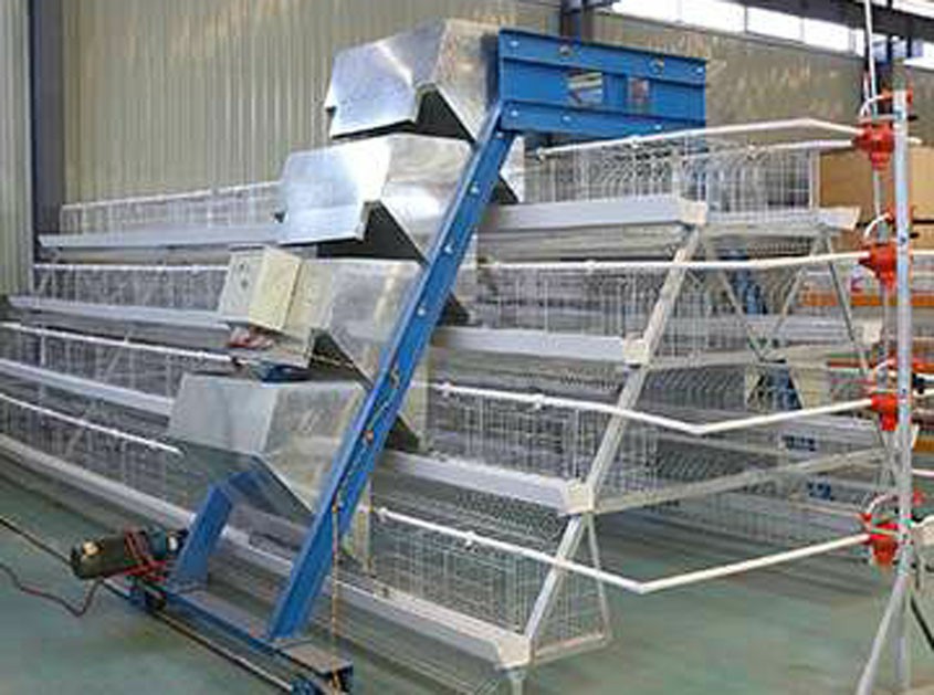 Automatic Feeding System | Automatic Feeding System Supplier