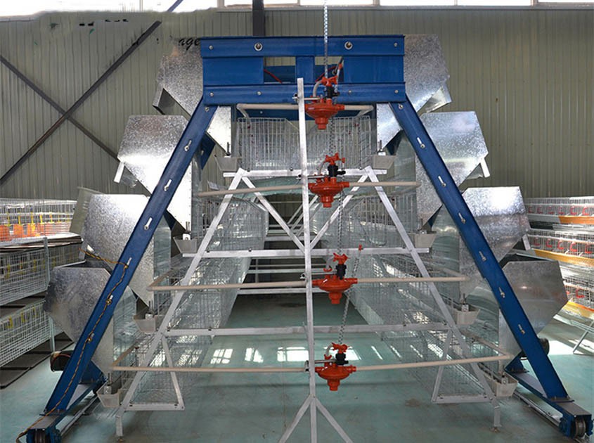 Automatic Feeding System | Automatic Feeding System Supplier