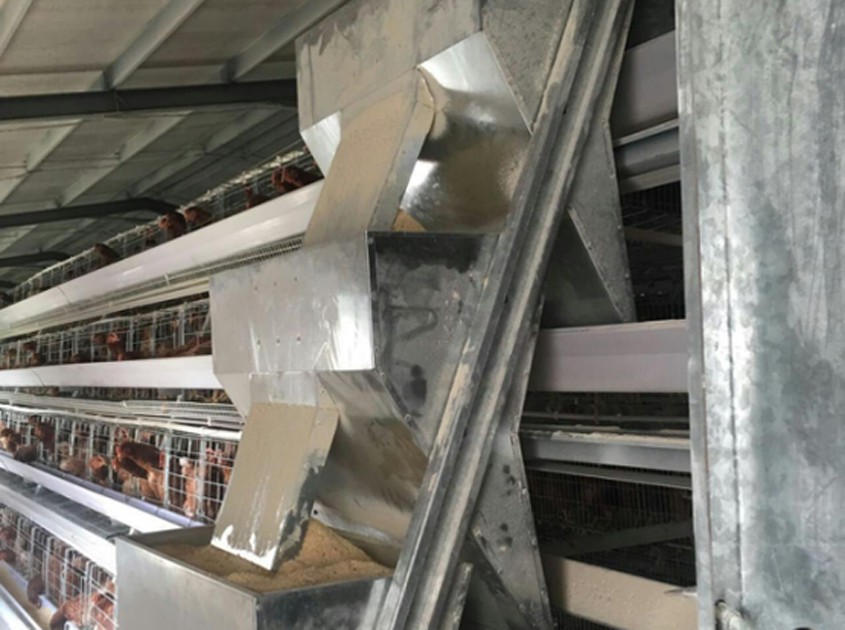 Automatic Feeding System | Automatic Feeding System Supplier