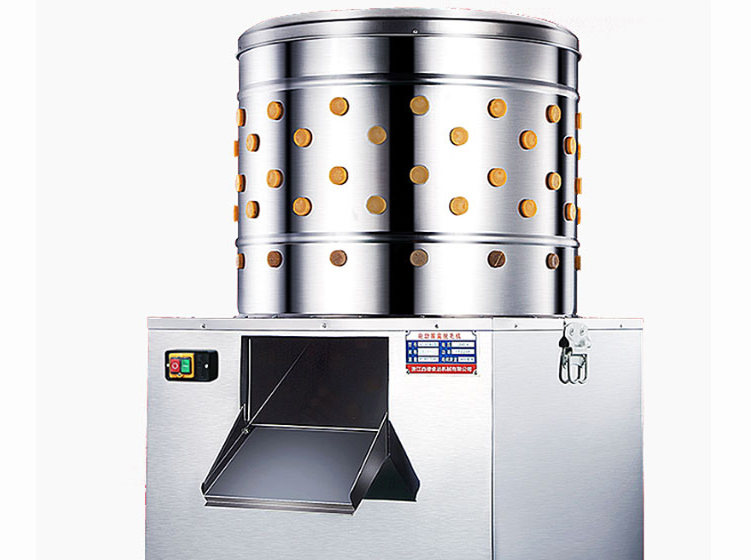 Plucker Machine | China Factory Prices