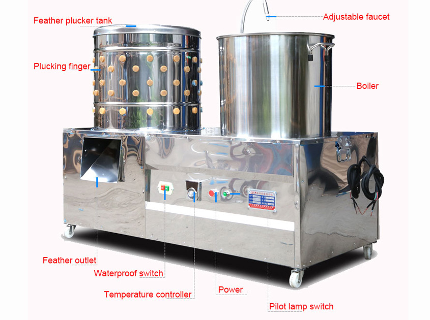 Plucker Machine | China Factory Prices