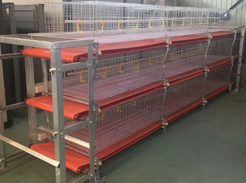 Broiler Chicken Cages Manufacturer