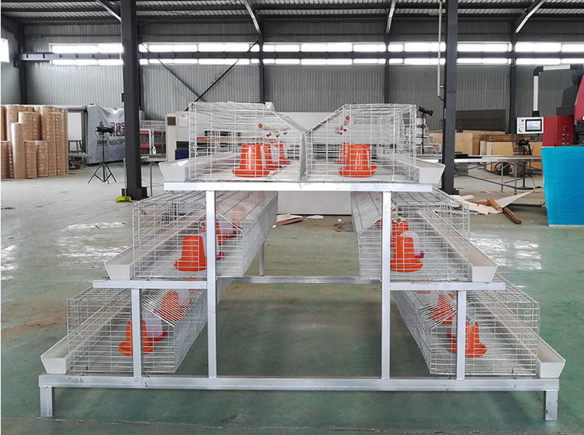 Chick Chicken Cages China