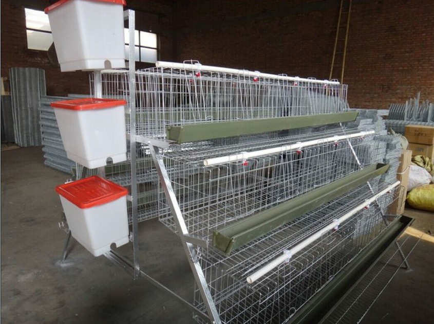 Layer Chicken Cages China